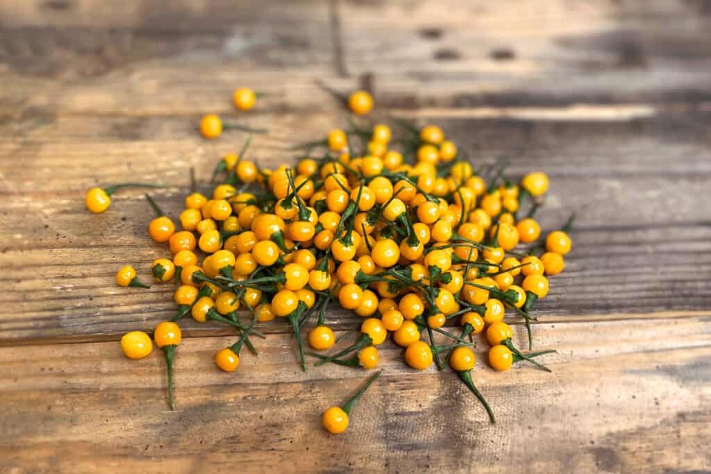Home - Westlandpeppers