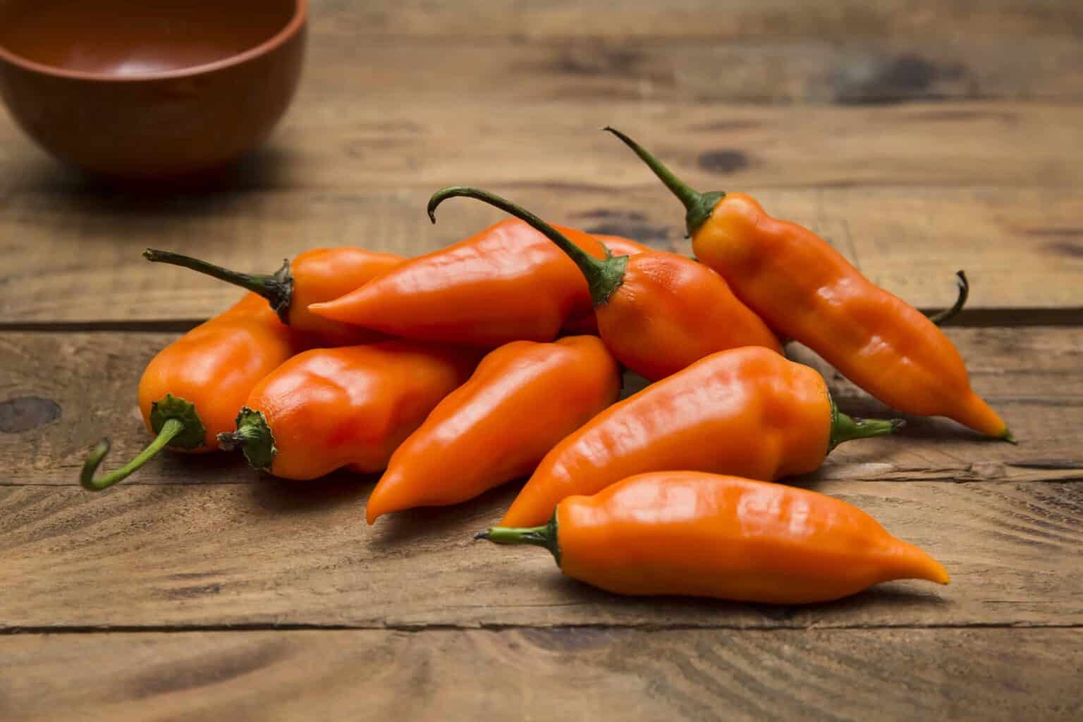 Aji Amarillo - Peruvian chili pepper -. Westlandpeppers