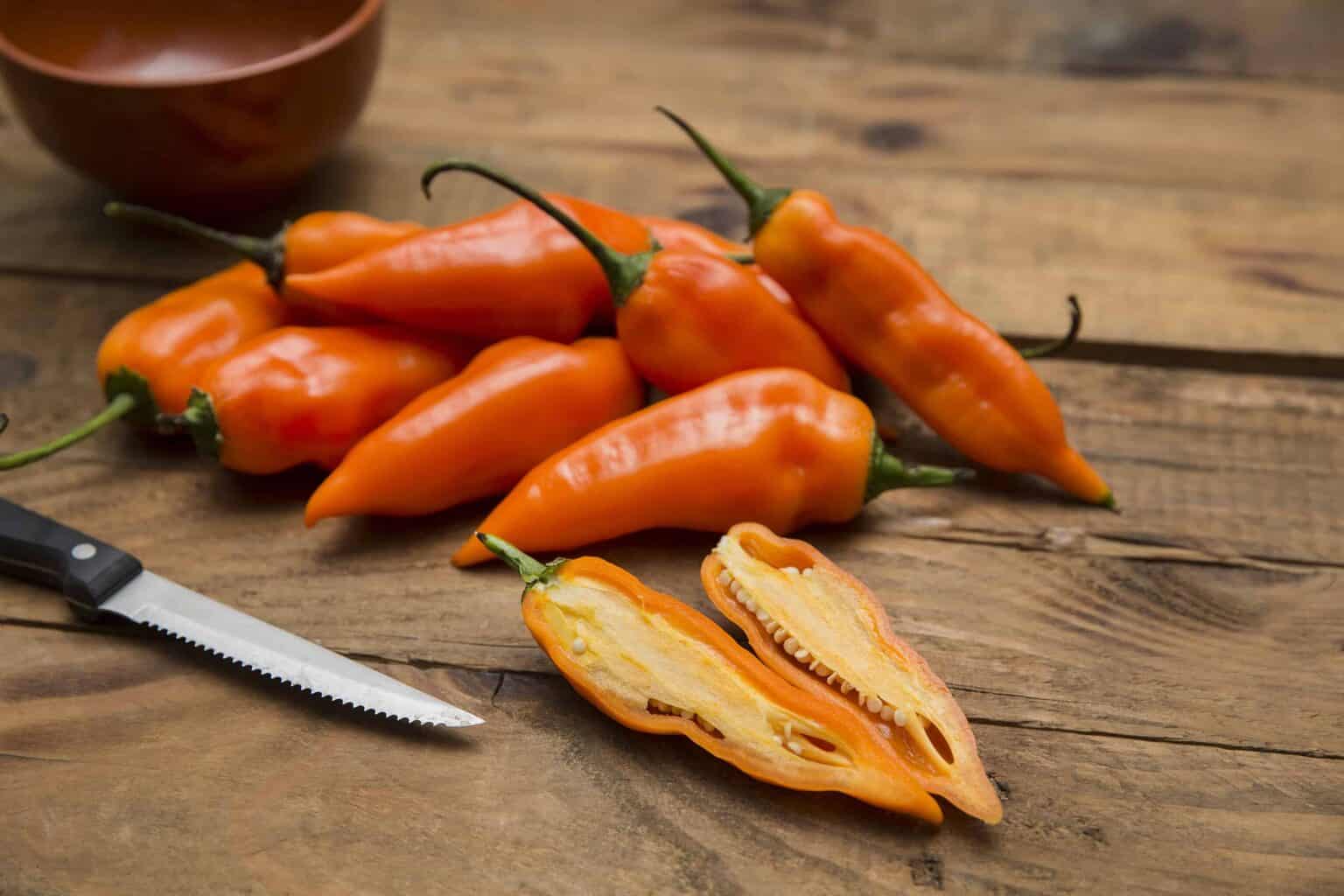 Aji Amarillo - Peruvian chili pepper -. Westlandpeppers