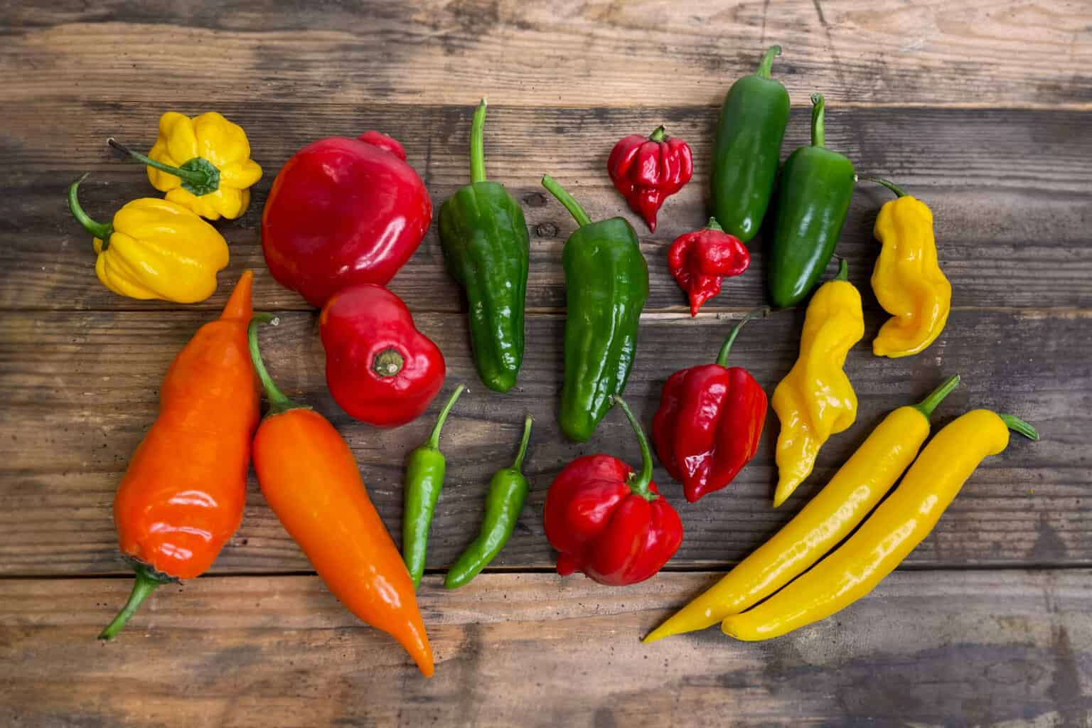 Pepper challenge package - Westlandpeppers