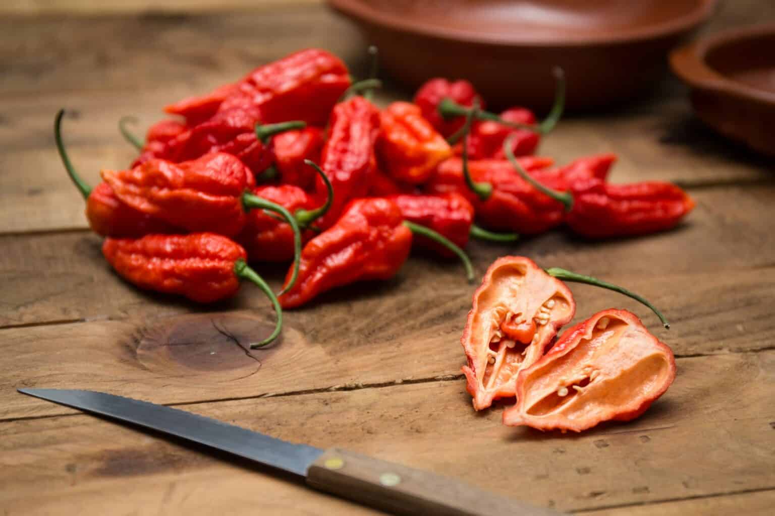 Naga Jolokia / Ghost pepper - Westlandpeppers