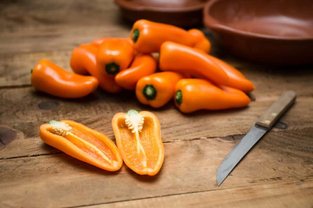 Snack bell pepper - Westlandpeppers