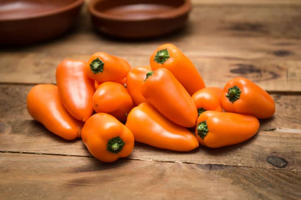 Snack bell pepper - Westlandpeppers