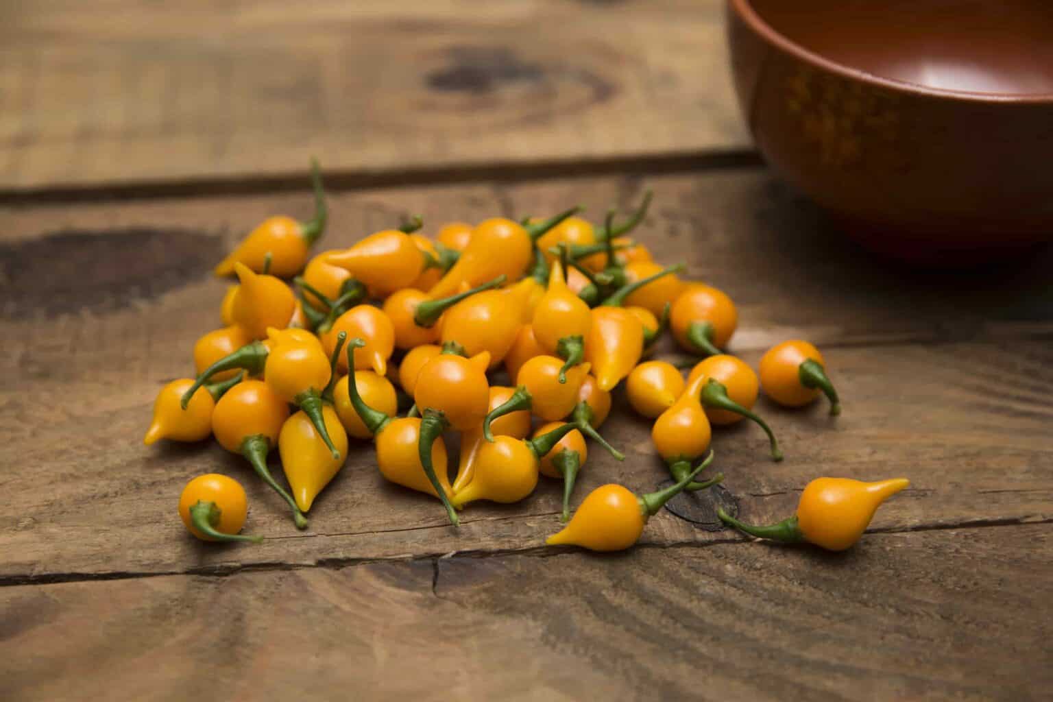 Sweety Drops - Westlandpeppers