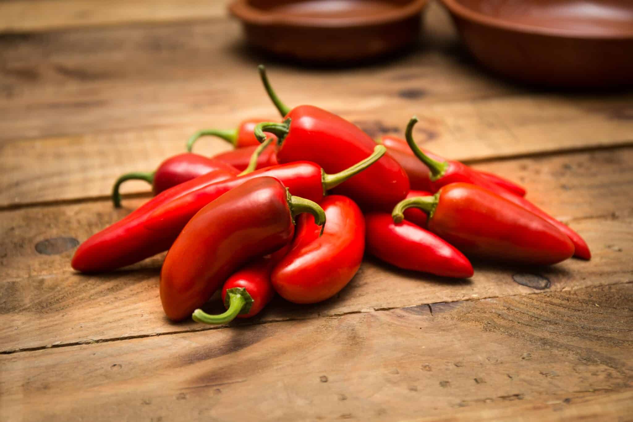 Spaanse peper / Cayenne - Westlandpeppers