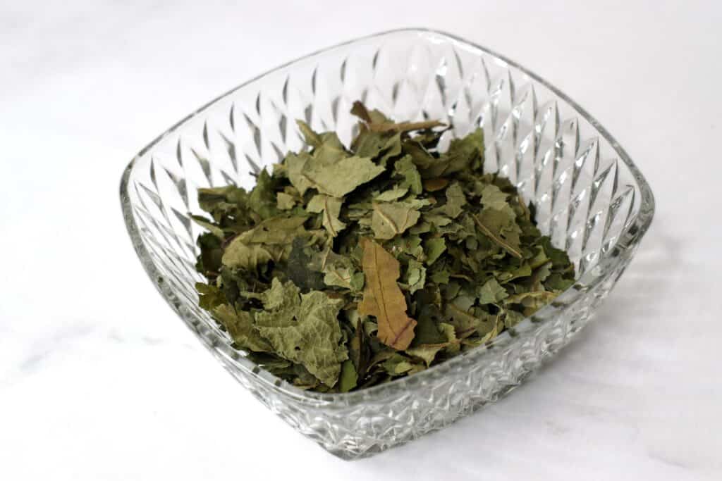 Dried Hoja Santa - Westlandpeppers