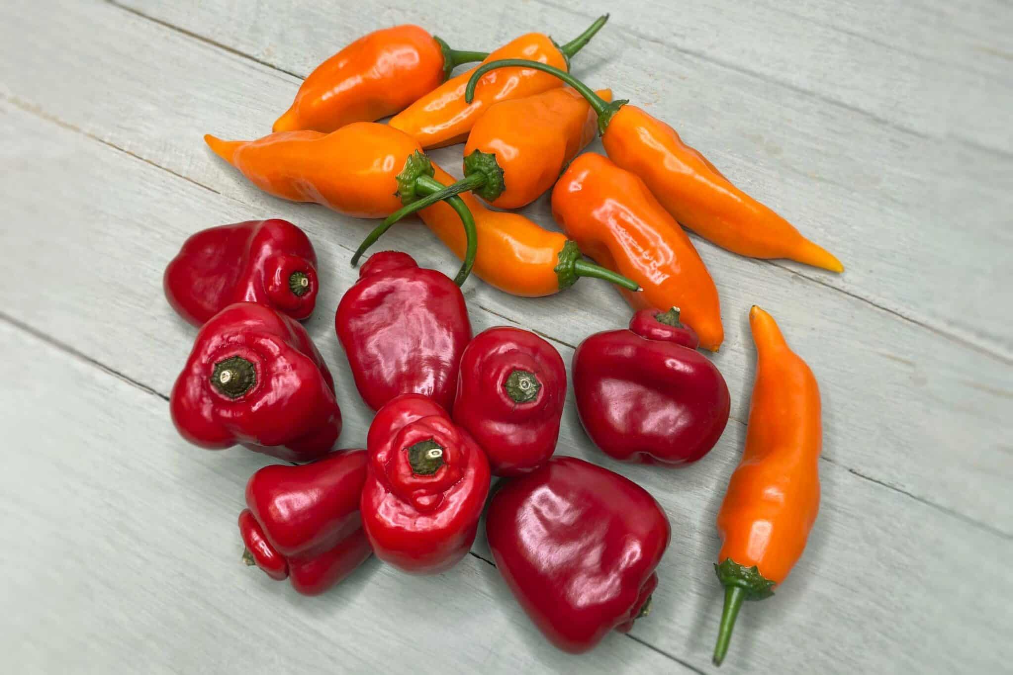 Peru - Peruaanse keuken - Westlandpeppers